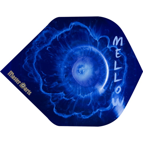 Flight Master-design