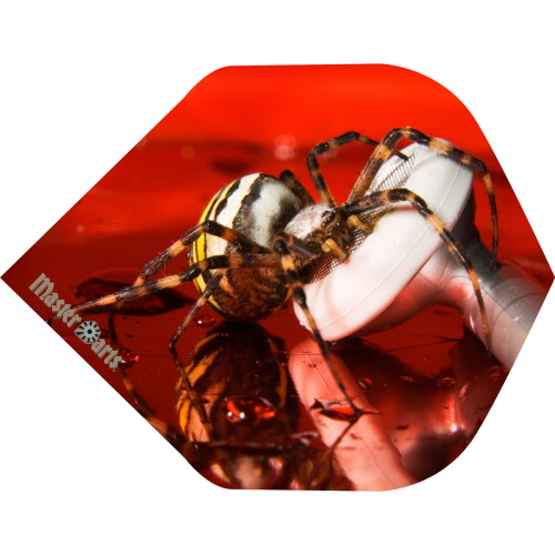 Flight Master-design